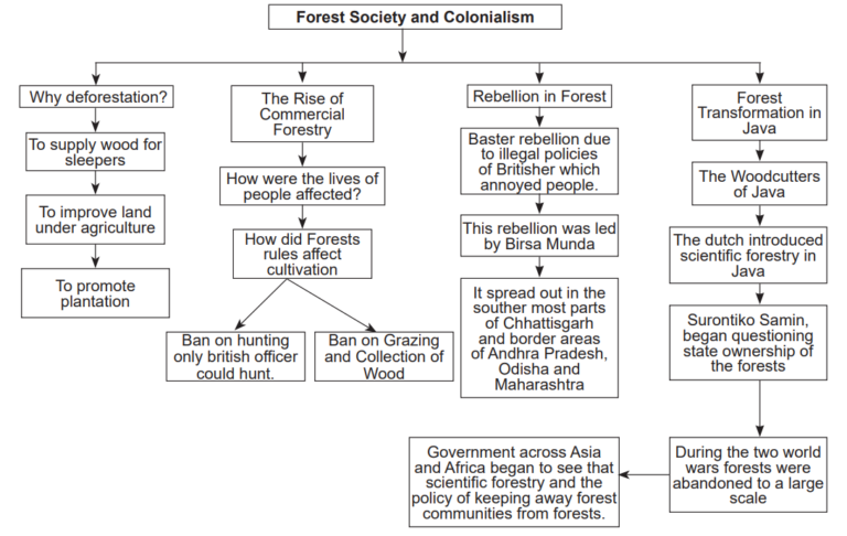 Forest Society and Colonialism Class 9 Revision Notes CBSE History ...