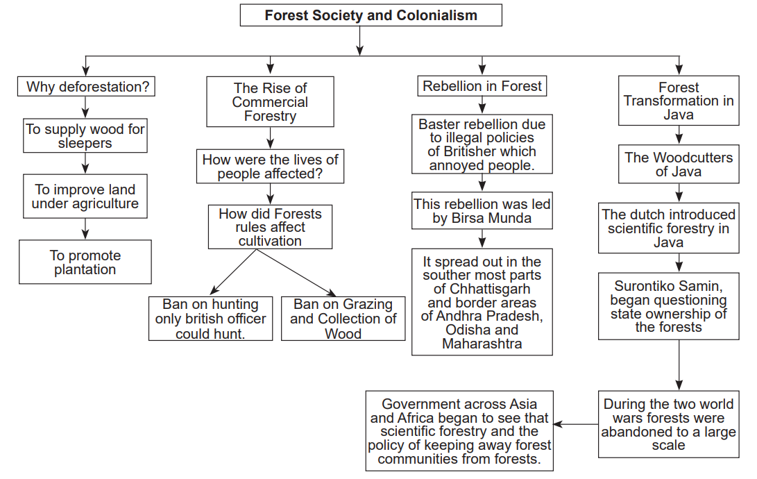 Forest Society and Colonialism Class 9 Revision Notes CBSE History ...