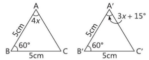Triangles Class 9 Case Study Questions Maths Chapter 7 - XAM CONTENT