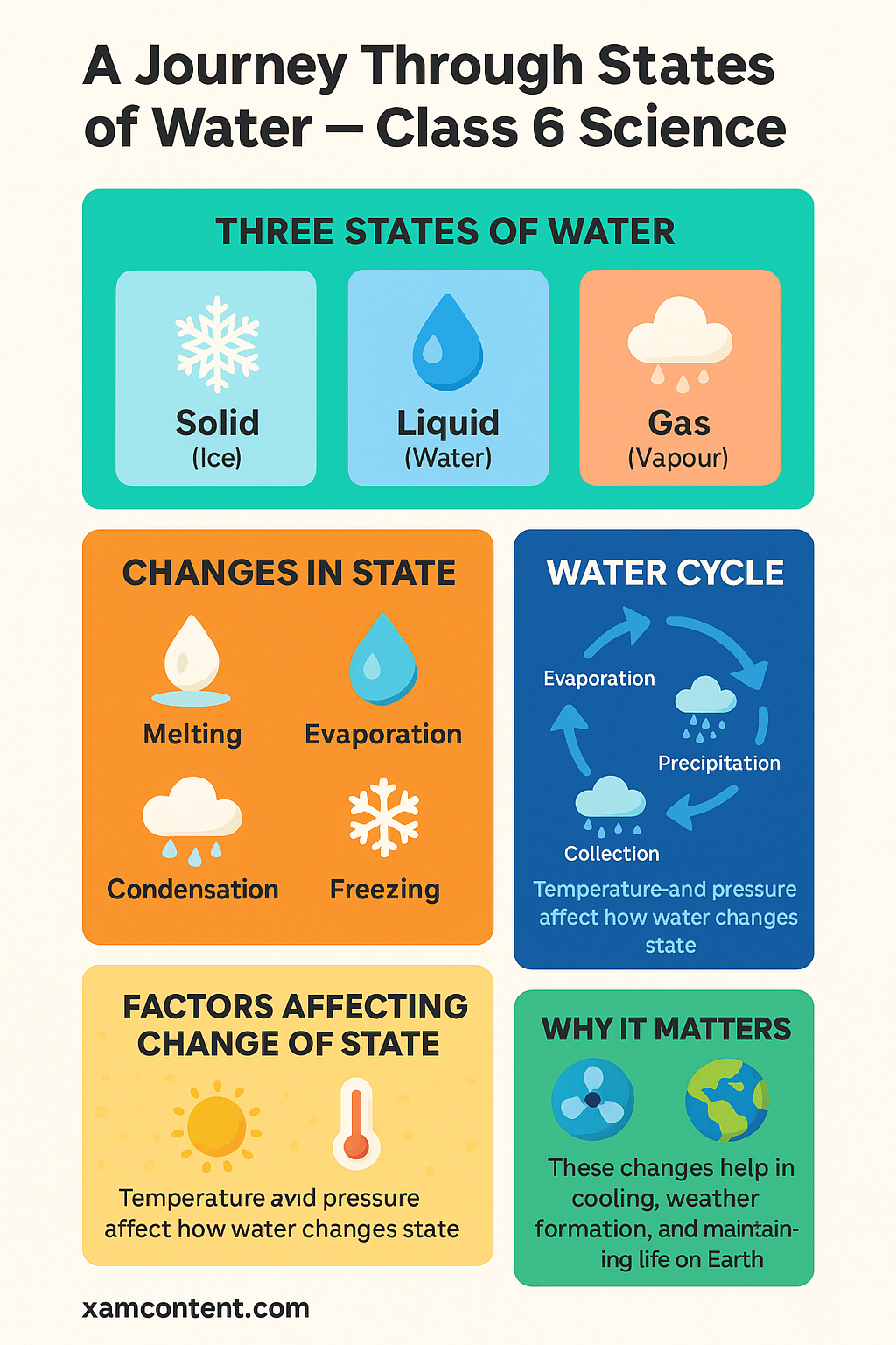 A Journey Through States of Water Class 6 Case Study Questions Science ...