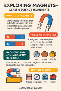 Exploring Magnets Class 6 Case Study Questions Science Curiosity ...