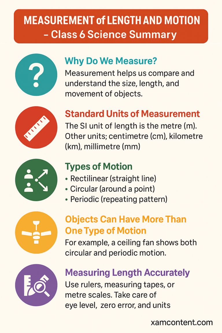 Measurement of Length and Motion Class 6 Case Study Questions Science ...